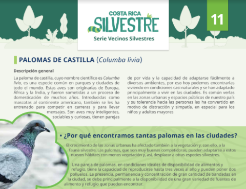Material descargable | TEVU - Transición hacia una economía verde urbana